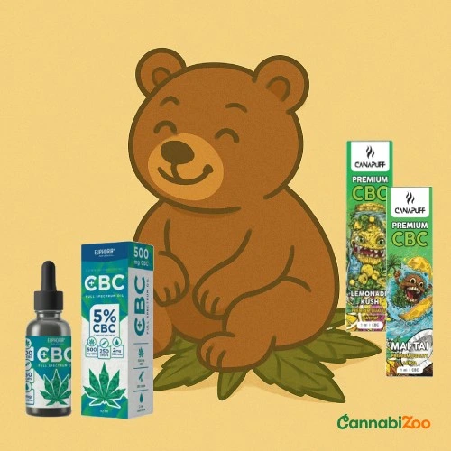 CBC — alles, was wir darüber wissen