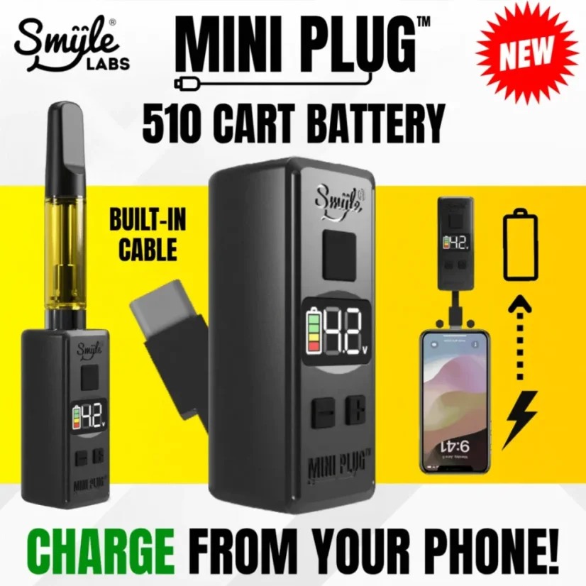 Smyle Labs Mini Plug 510 Cart Battery with Built-in USB-C Cable ...